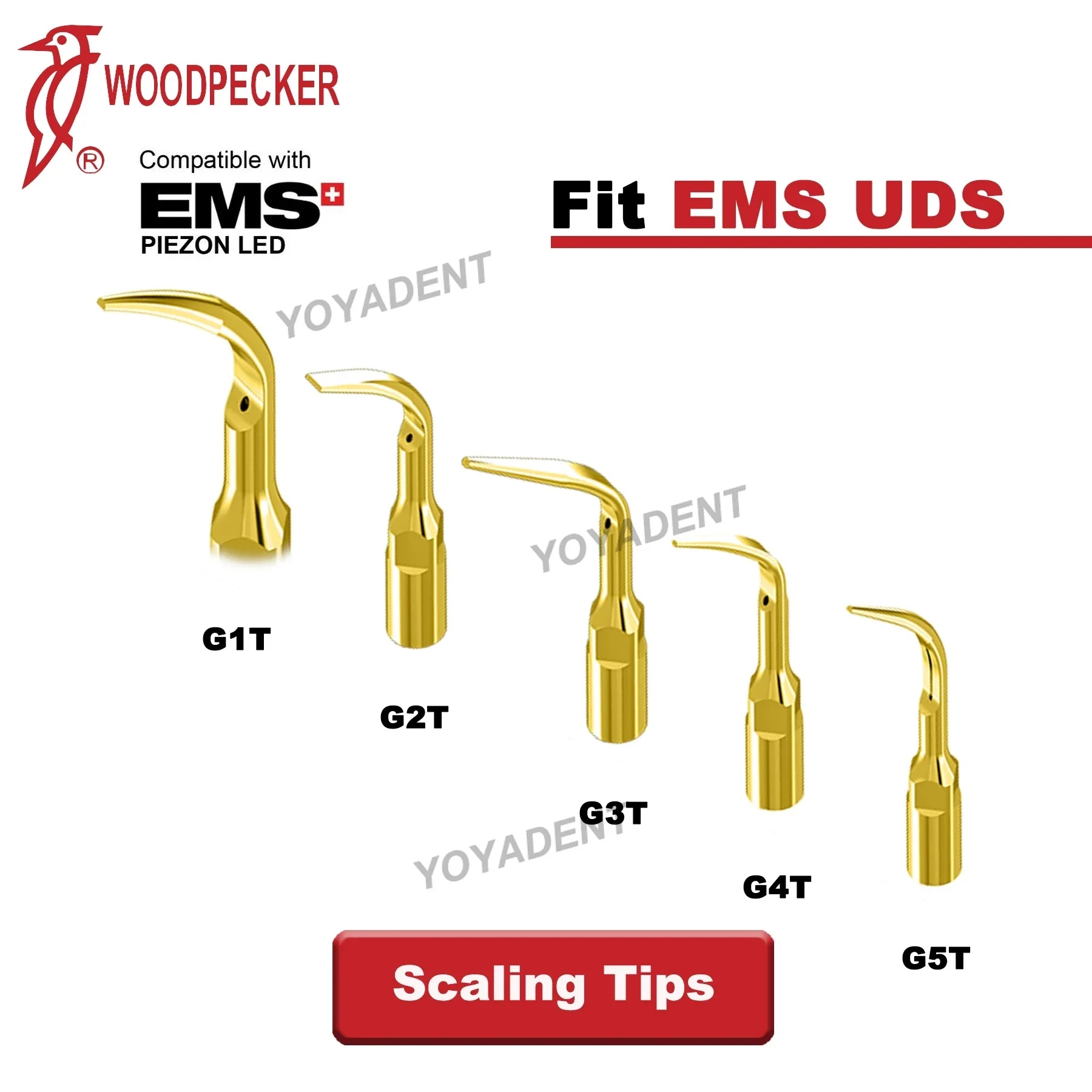 Woodpecker Dental Ultrasonic Scaler Tips Piezo Scaling Tips Gold G1T ...