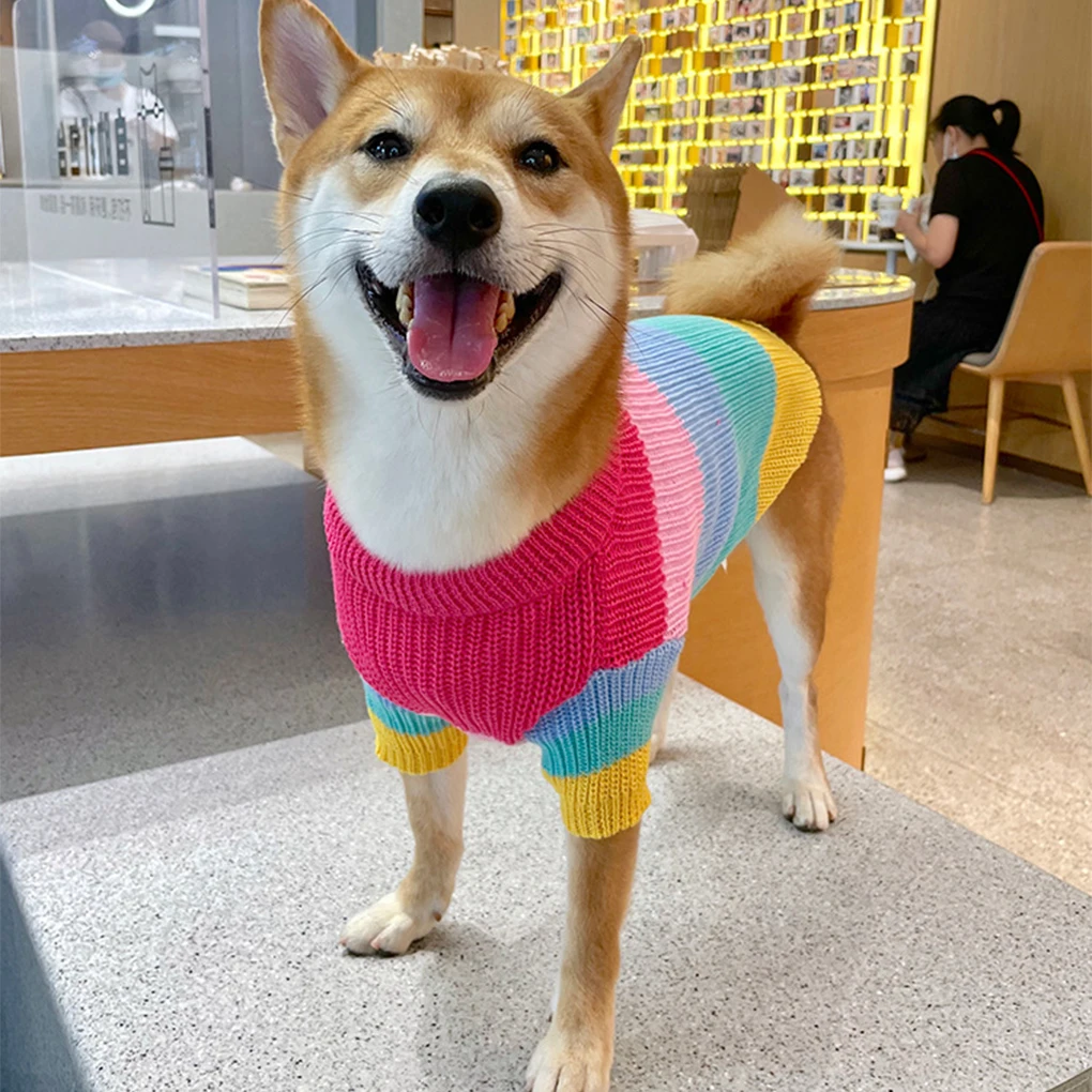 Jersey-de-punto-para-mascotas-chaleco-c-lido-disponible-en-varios-tama ...
