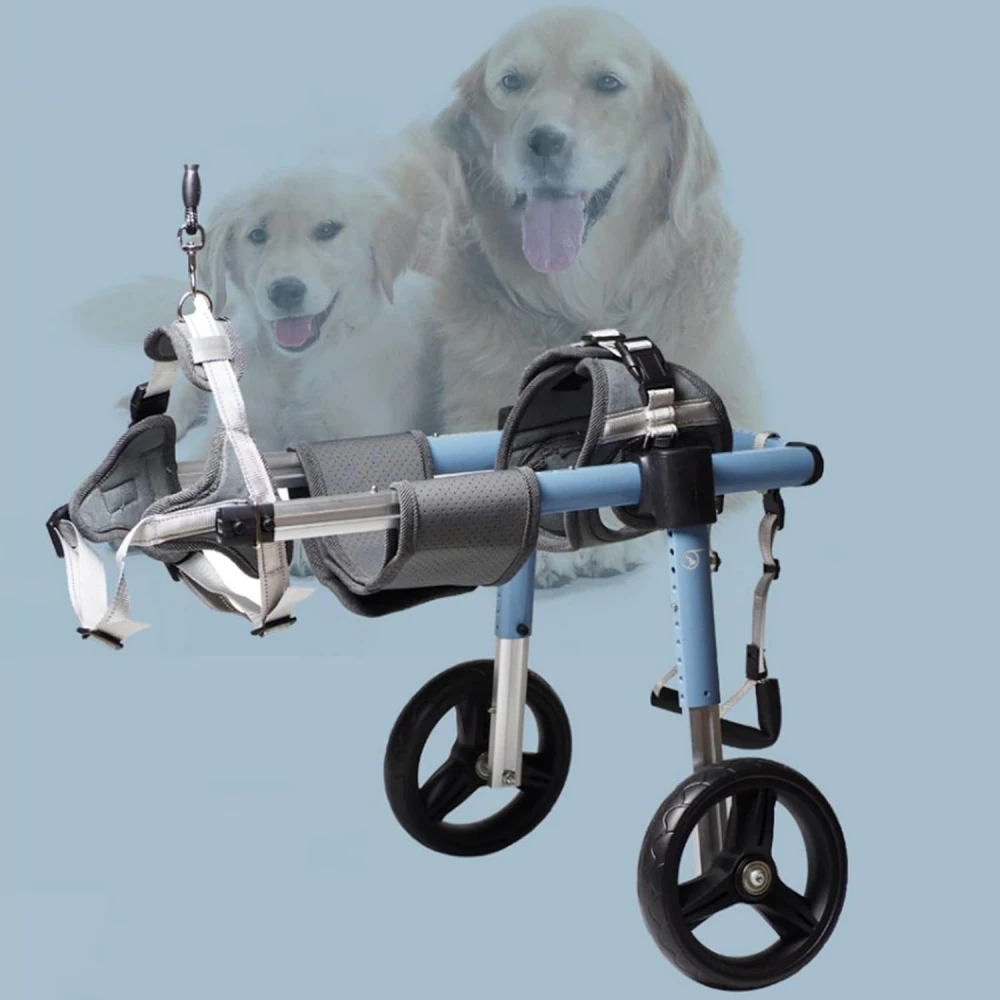 Dog-Wheelchair-Hind-Limb-Paralysis-Rehabilitation-Wheelchair-Walk ...