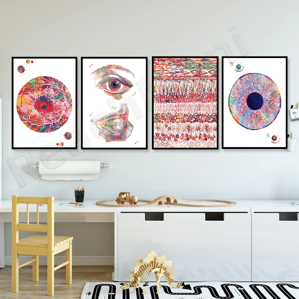 Human-Eye-Iris-and-Pupil-Structure-Retinal-Layers-Optic-Chiasm-and-Eye ...