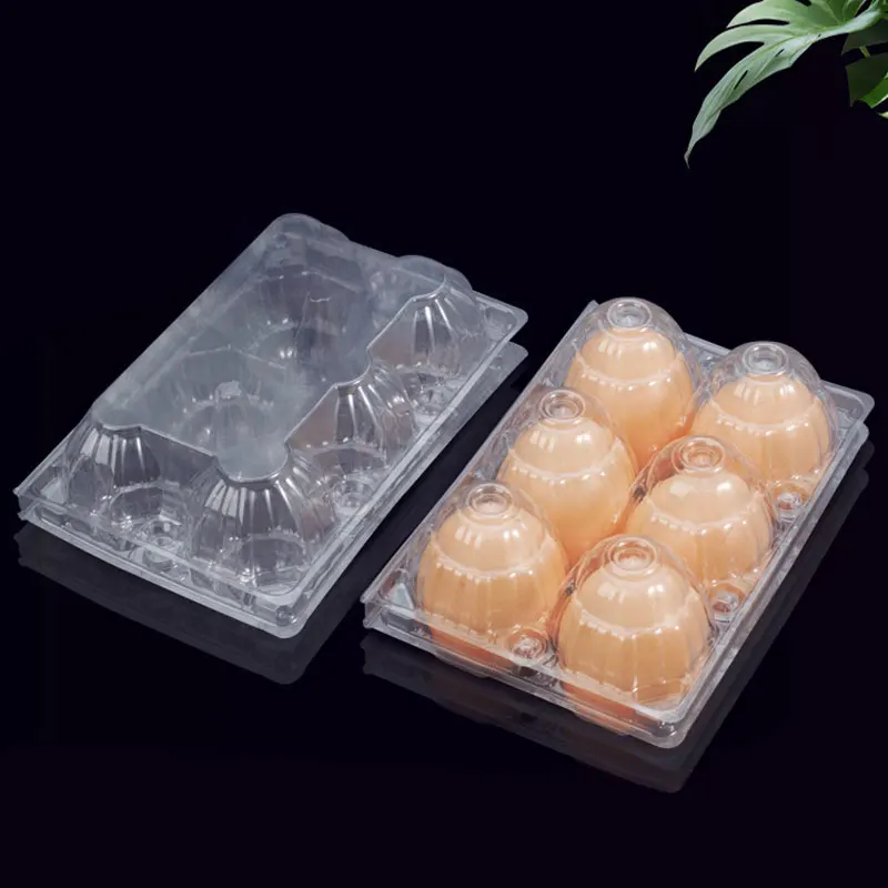Disposable-Transparent-Egg-Packaging-Box-Shockproof-and-Pressure ...