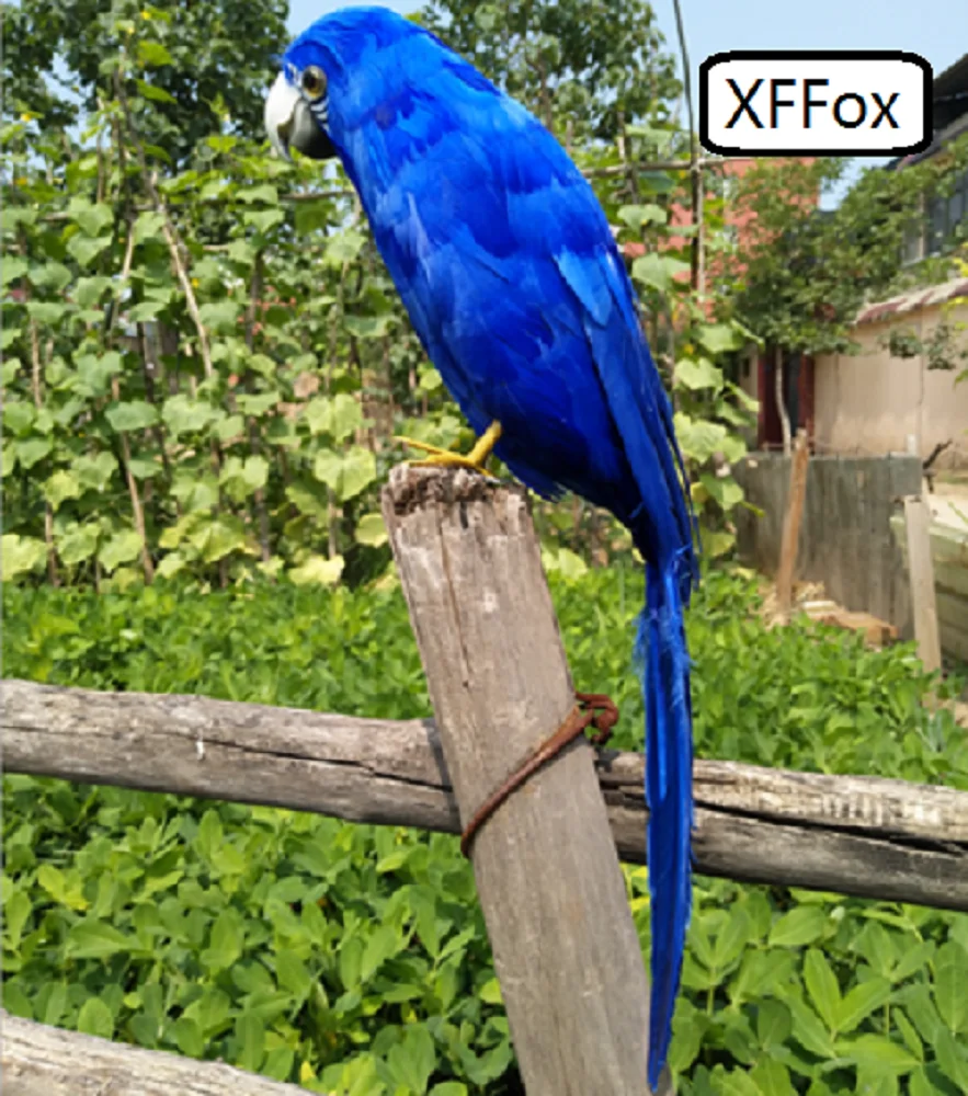 new real life dark blue parrot model foam&feather simulation parrot ...