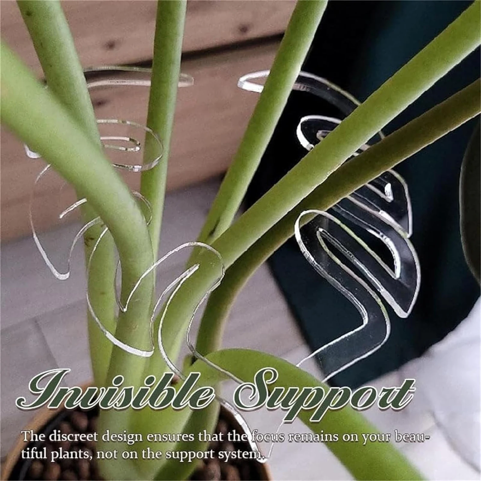 Reusable-Plant-Stem-Support-Monstera-Leaf-Plant-Support-for-Wide-Range ...