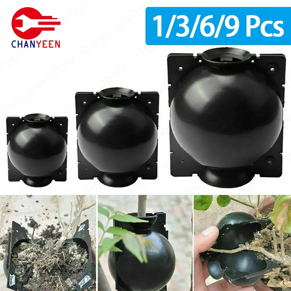 1-3-6-9Pcs-Plant-Rooting-Ball-Transplant-Nursery-Ball-Sapling ...