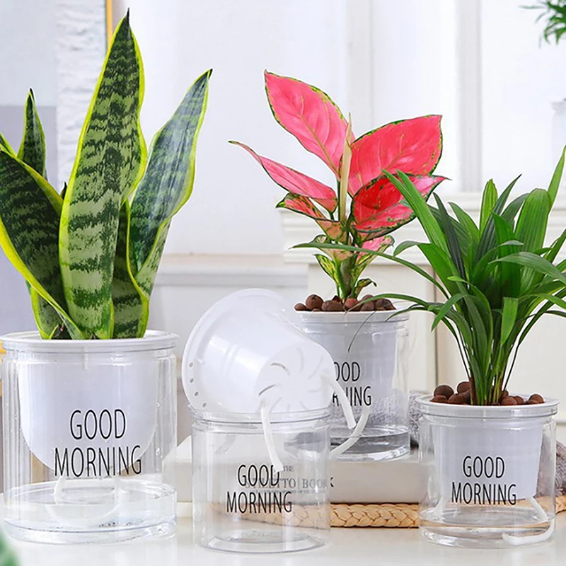 Mini-Self-Watering-Flower-Pot-Fish-Tank-Transparent-Plastic-Plant-Pots ...
