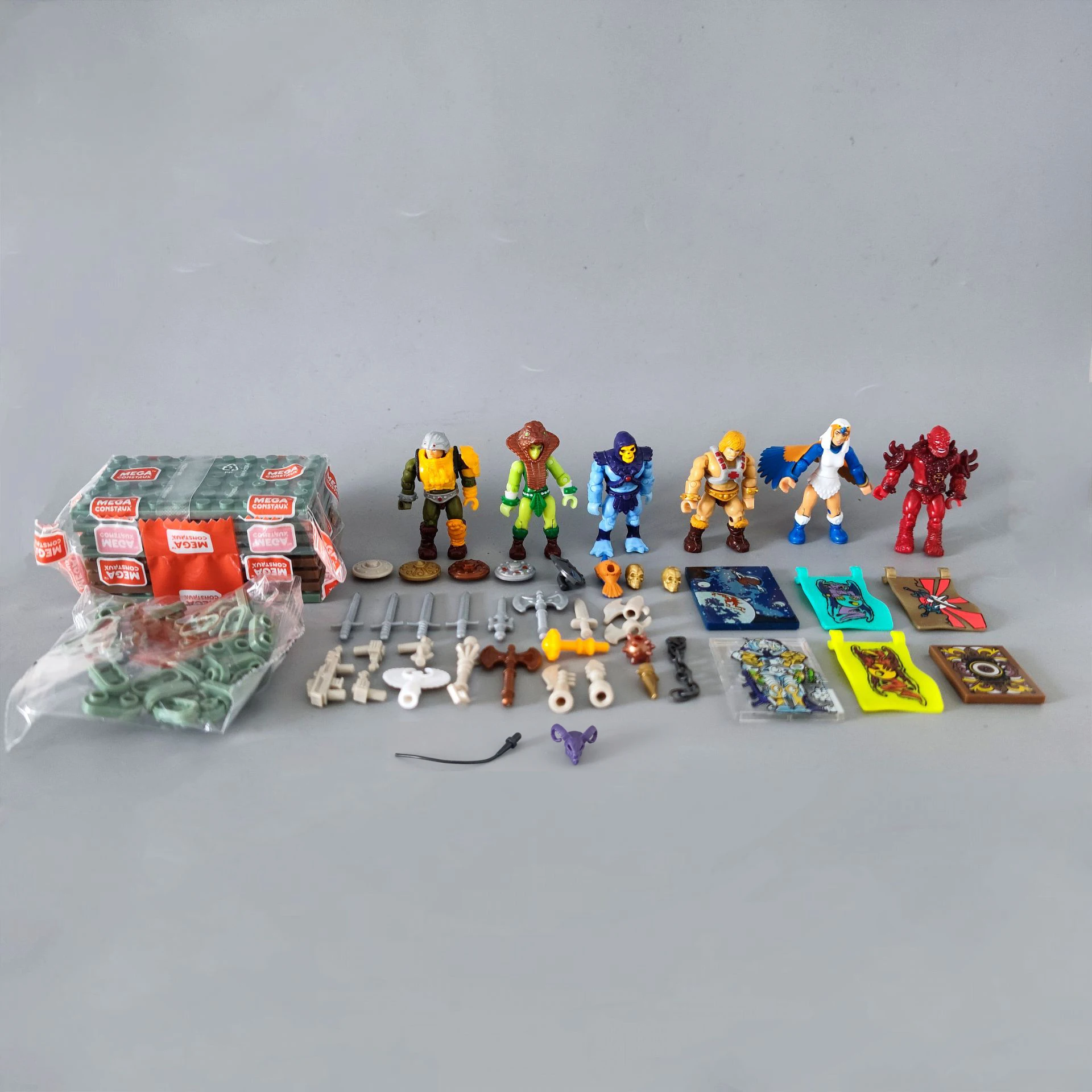 Mega-Bloks-Motu-He-man-hombre-hechicera-en-el-brazo-Evil-Lyn-esqueleto ...