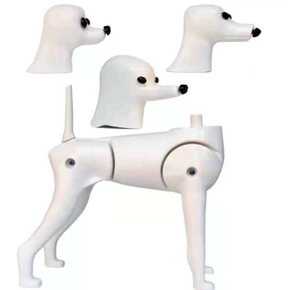 Multifunction-Grooming-Model-Dog-Mannequin-Display-Dog-Plastic-Skeleton ...