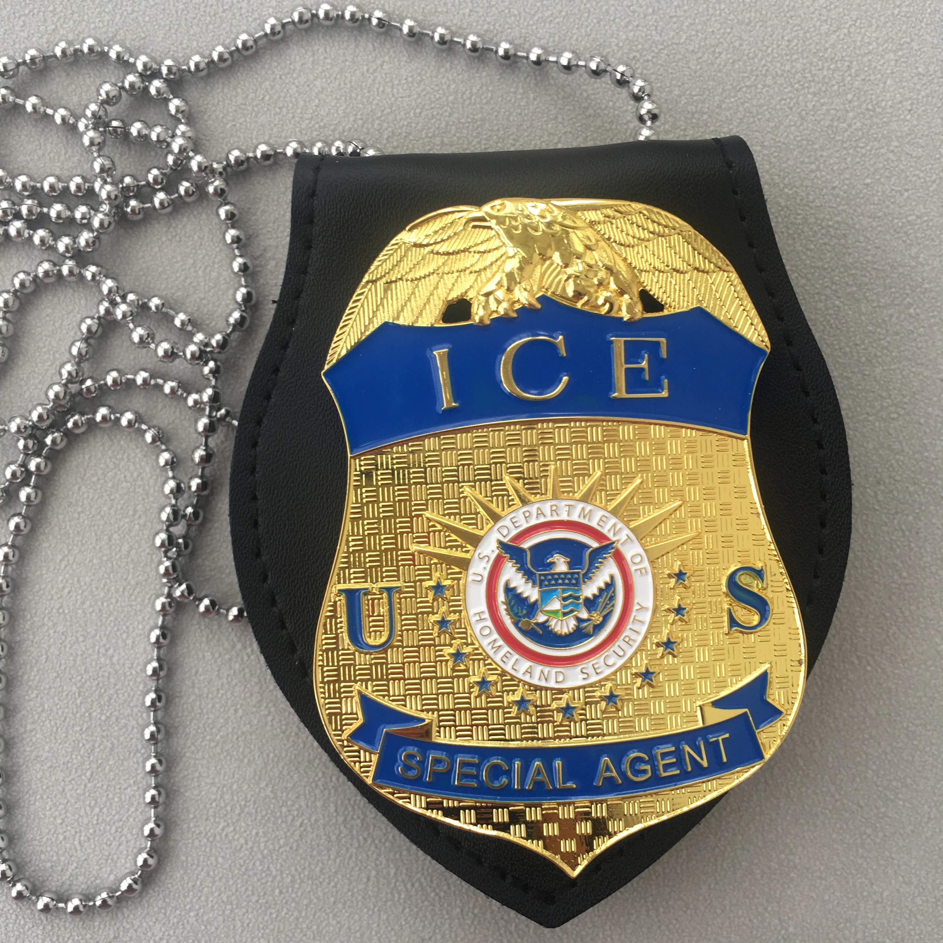 Dhs Ice Logo