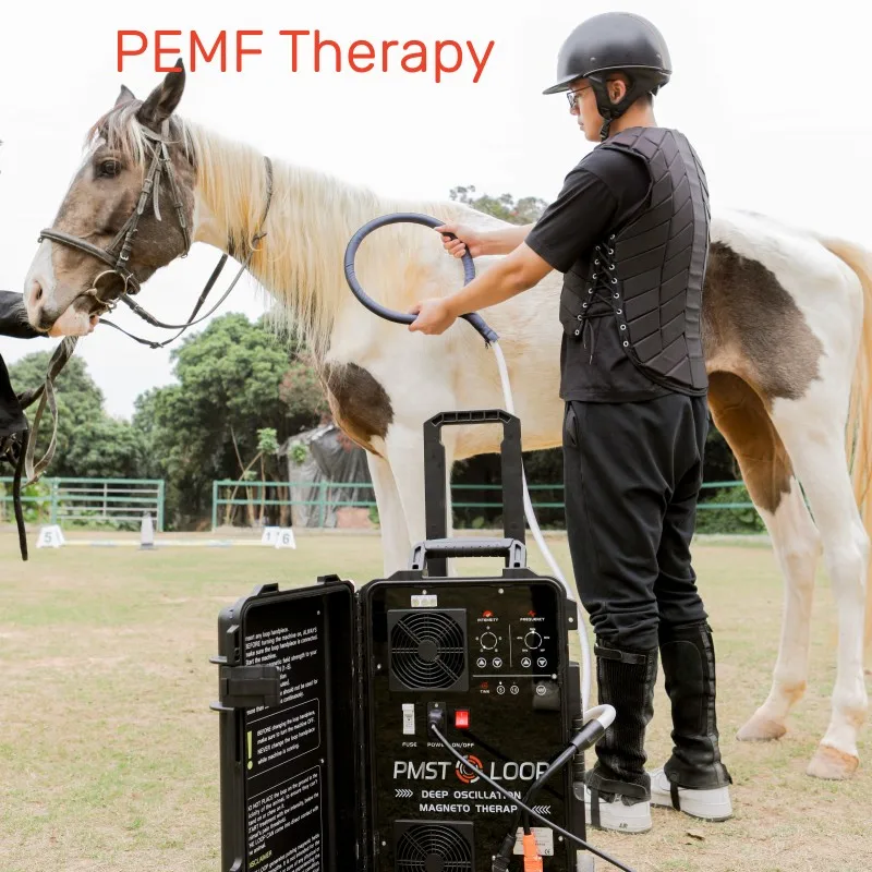 Equine-PEMF-Therapy-Horses-Massage-Machine-PMST-LOOP-Magnetic ...
