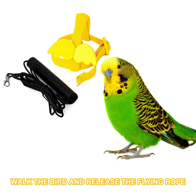 Bird Harness And Leash