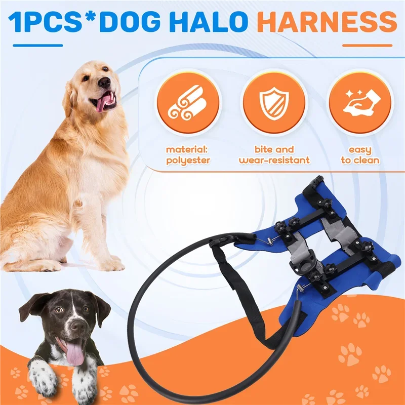ABCA-Dog Halo Harness, Protective Halo Dog Collar For Blind Dogs ...