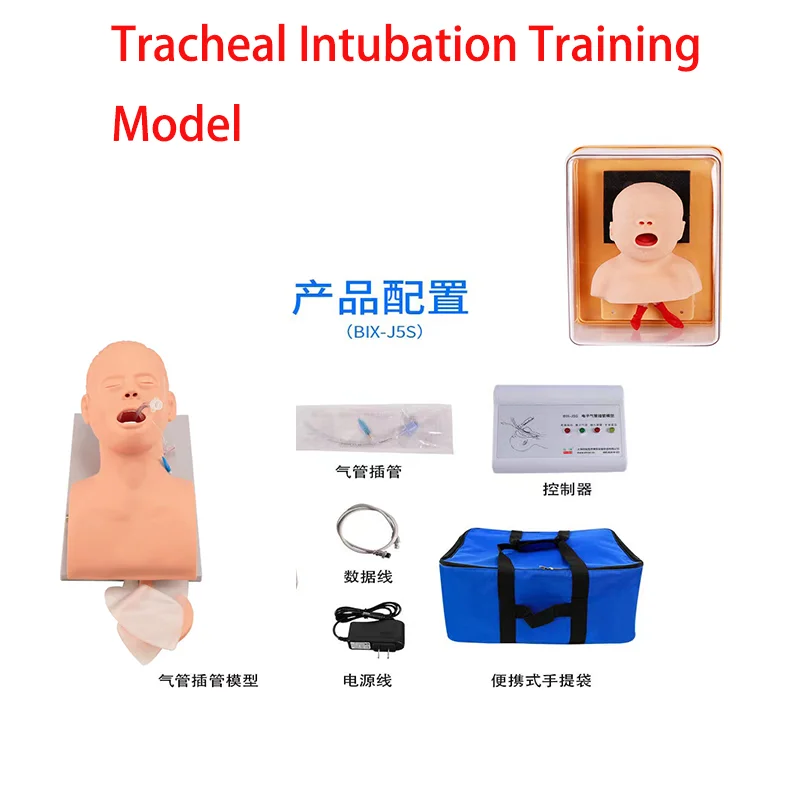 Adult-Neonatal-Tracheal-Intubation-Model-Analog-Double-Lung-and-Stomach ...