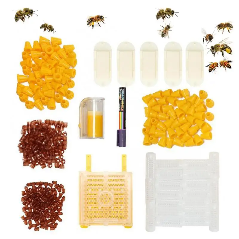Queen-Bee-Rearing-Supplies-all-Easy-to-use-And-Light-Queen-Beekeeping ...