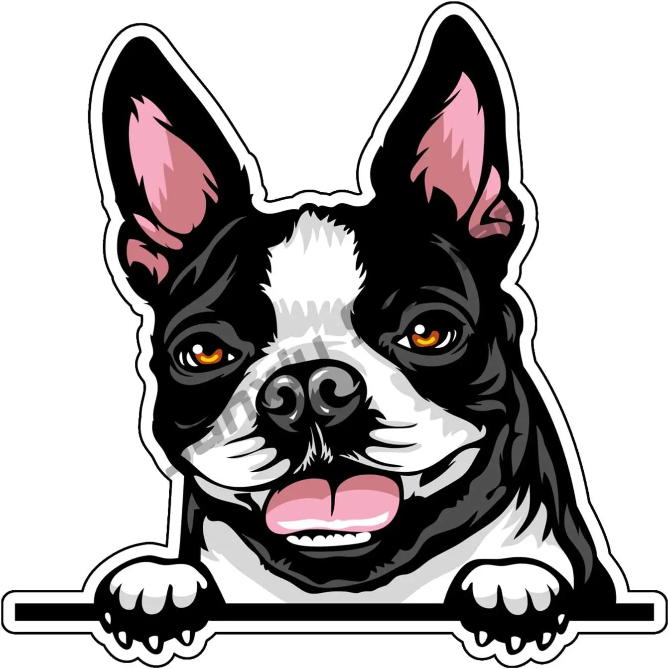 Boston Terrier Cartoon Face