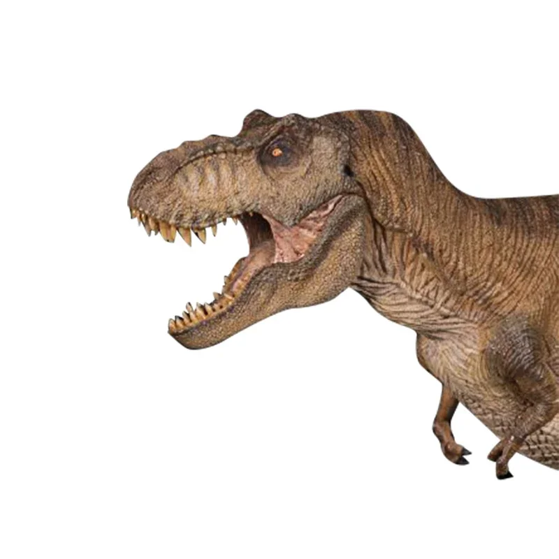 1:35 Nanmu Tyrannosaurus Rex Alpha Dinosaurs Prehistoric Animals Toy ...