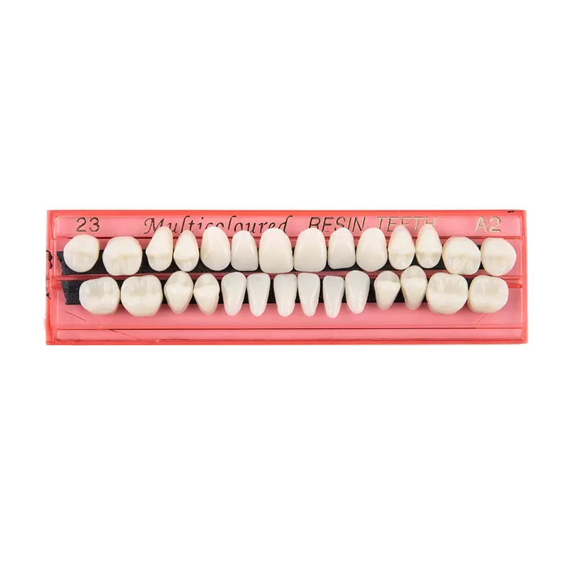 Dental-Synthetic-Resin-Tooth-Denture-False-Teeth-For-Halloween-Horror ...
