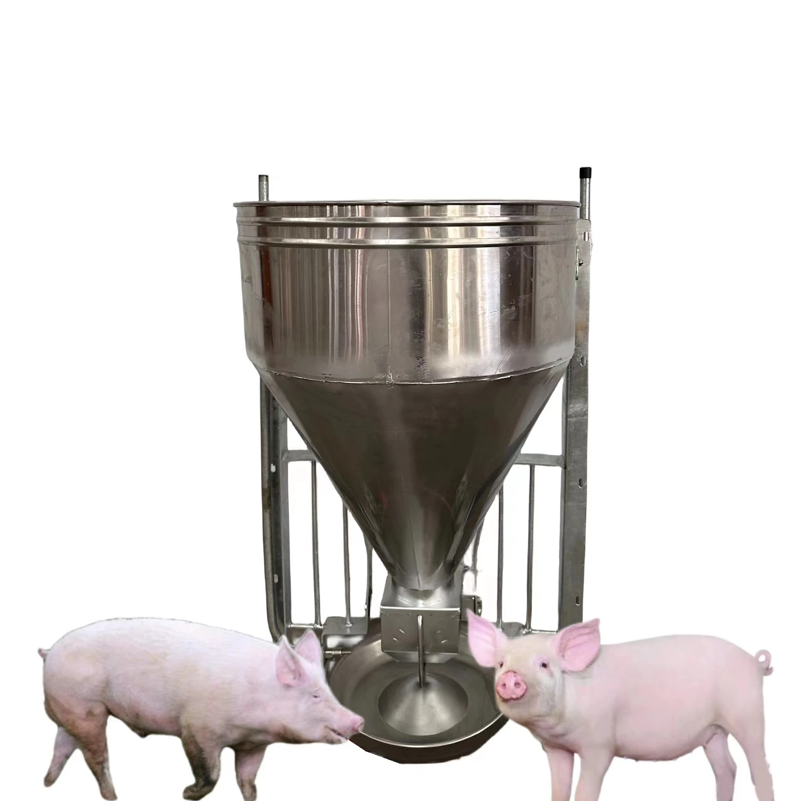 100kg Stainless Steel Automatic Dry Wet Pig Feeder Automatic Feeder for ...