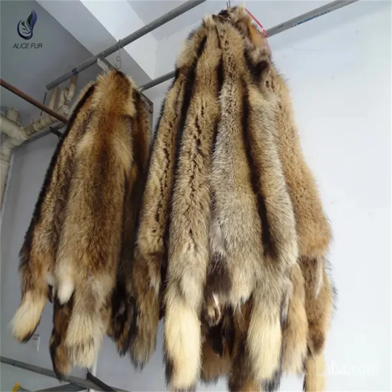 Real-Animal-Hide-Natural-Raccoon-Skins-Genuine-Racoon-Fur-Pelts-For ...