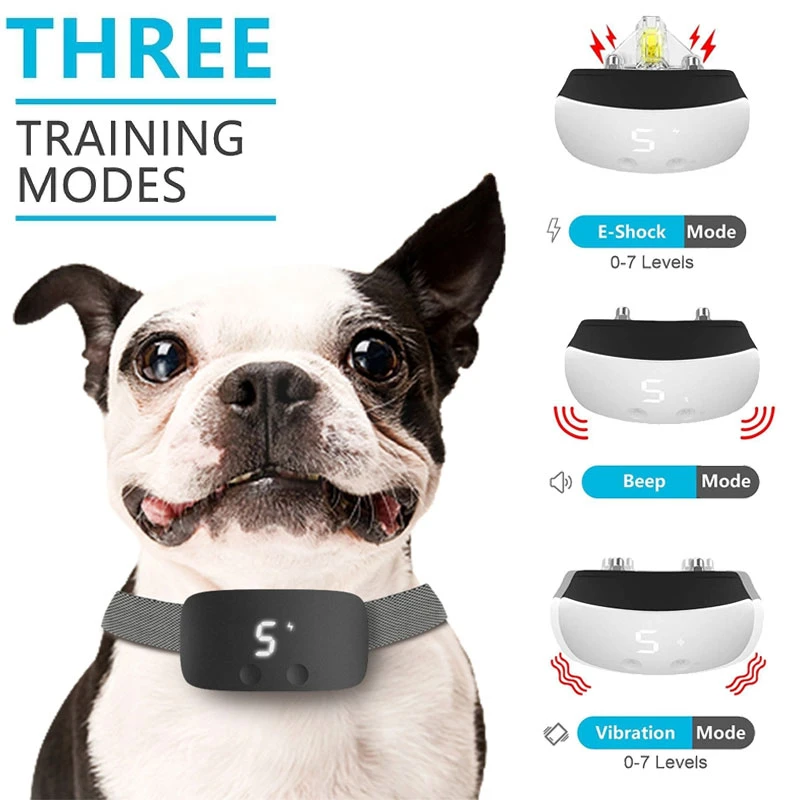 What Is A Level 1 Protection Dog