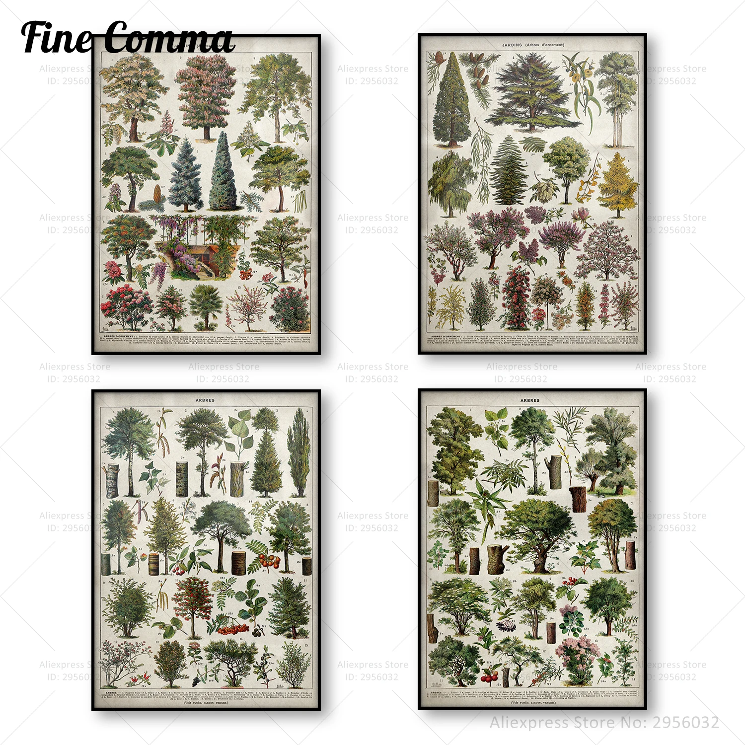 Botanical Poster Vintage Canvas | Vintage Botanical Poster Trees - Tree ...
