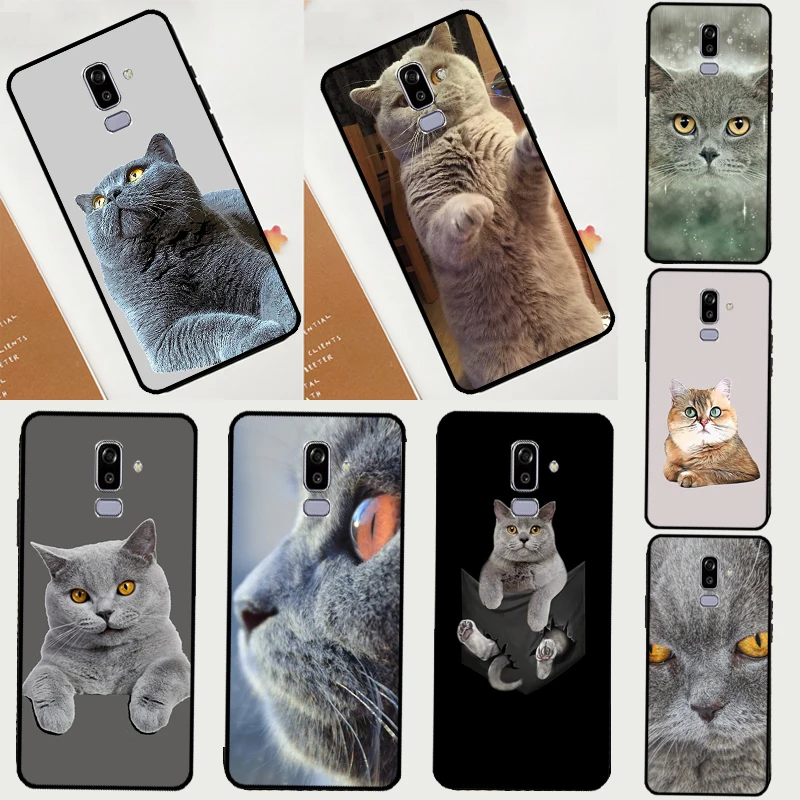 British Shorthair Cat For Samsung Galaxy M13 M14 M33 M12 M32 M52 M31 ...