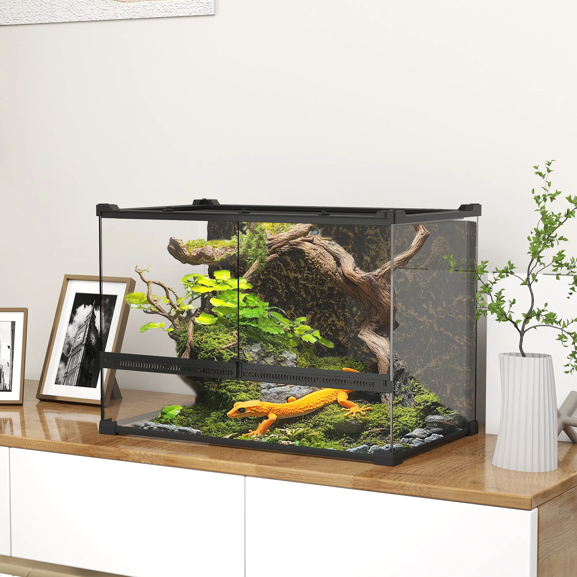 Complete Guide to Terrarium Setup: Everything You Need to Know