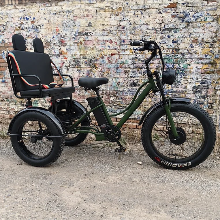 Transport-Vehicle-Adult-Tricycle-3-Wheel-Cargo-Tricycle-electric ...