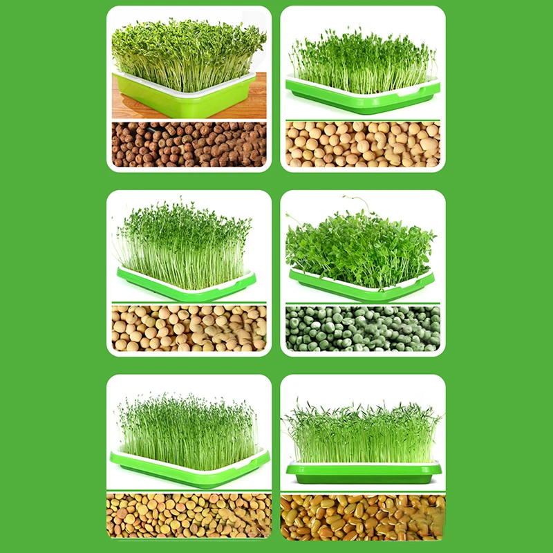 Sprout-Dish-Growing-Pot-Hydroponic-Vegetable-Beans-Seeding-Pot ...