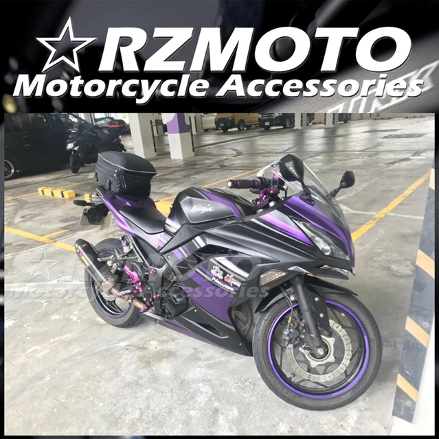 Purple Kawasaki Ninja 300