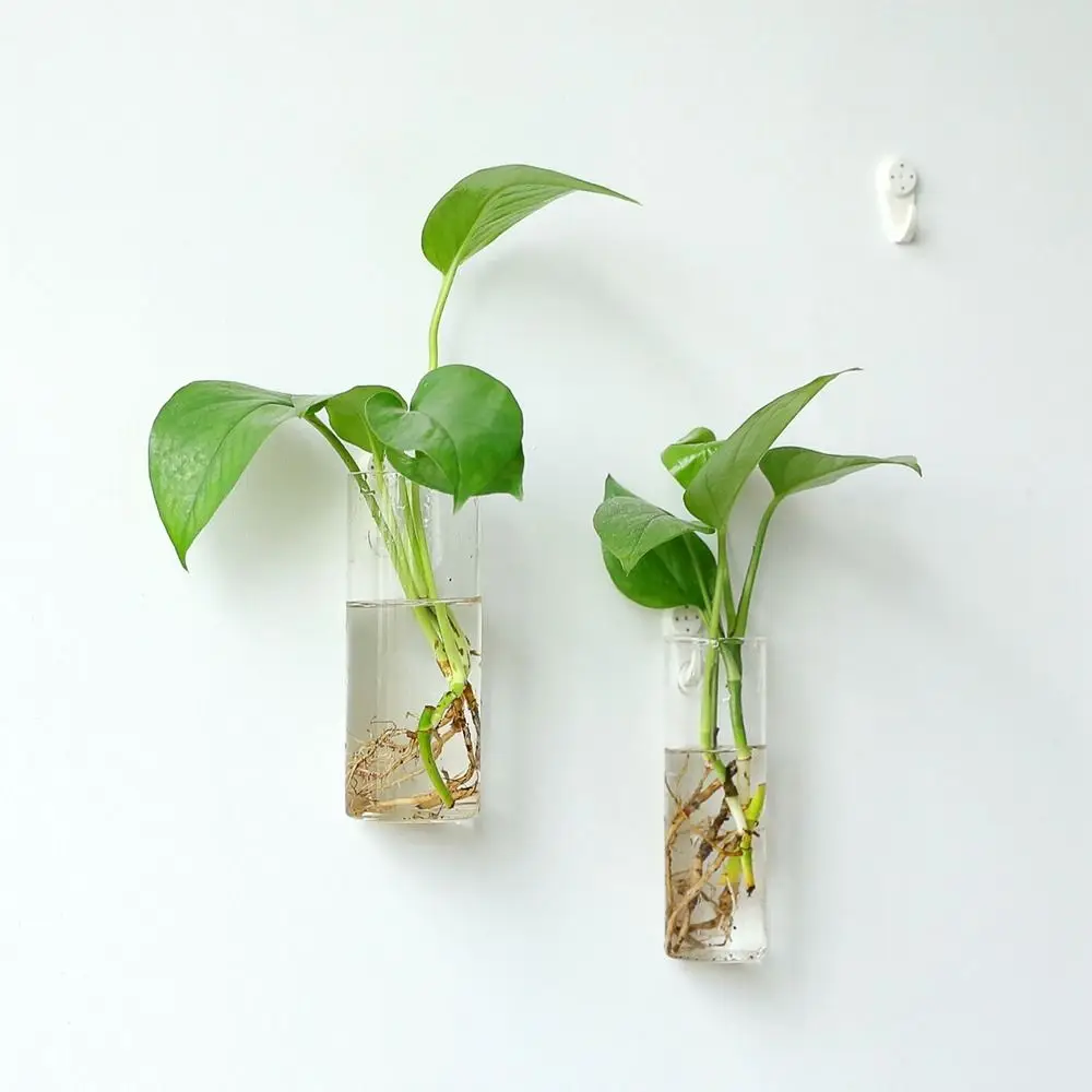 Fish-Tank-Irregular-Shape-Wall-mounted-Home-Decorations-Glass-Crafts ...