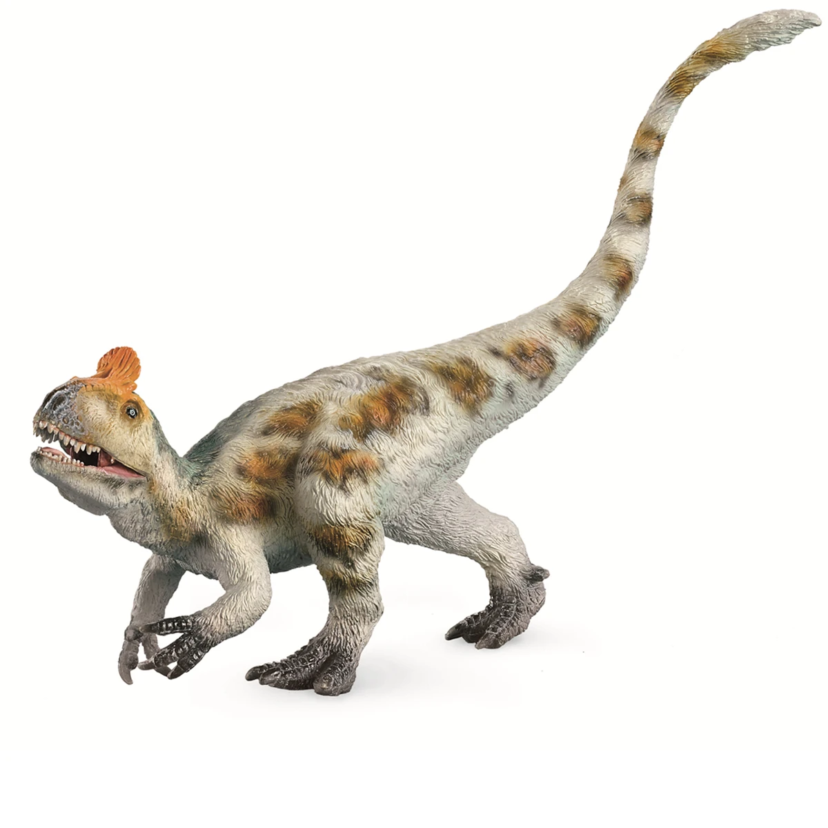 TNG Cryolophosaurus Dilophosauridae Model Realistic Jurassic Dinosaur ...