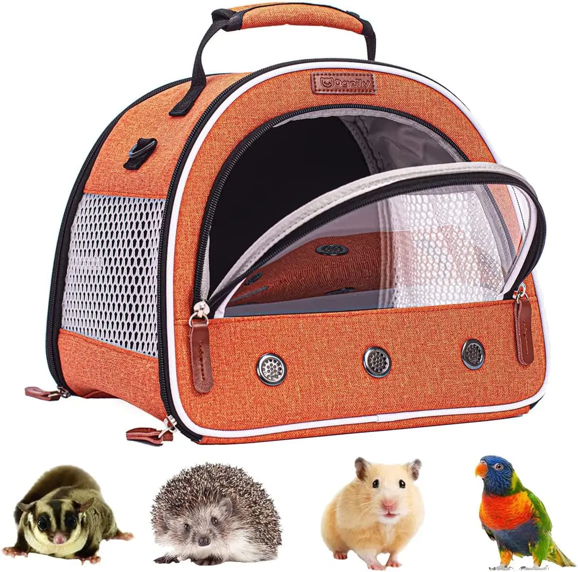 Guinea Pig Carrier, Guinea Pig Travel Cage Small Animals Reptile Travel ...