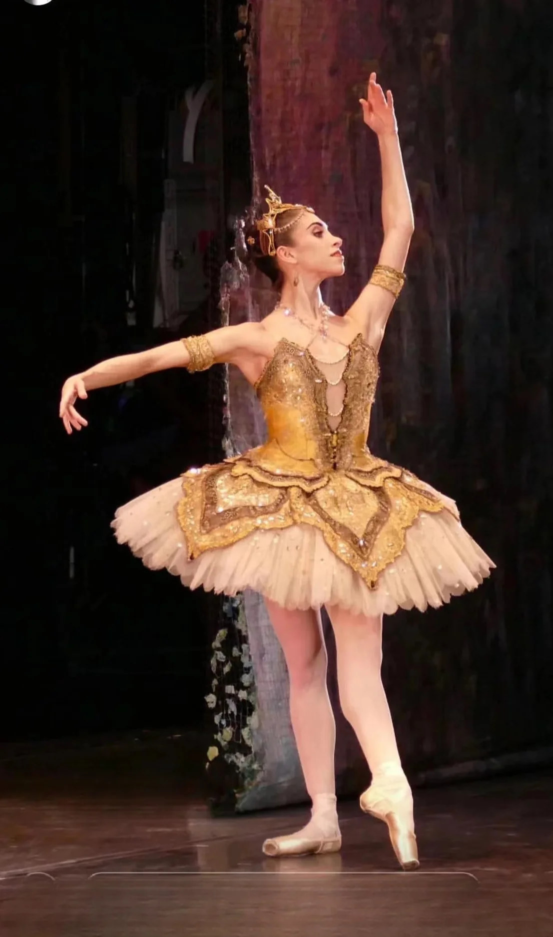 Esmeralda-Pachita-Variations-Professional-Ballet-TUTU-dress-customized ...