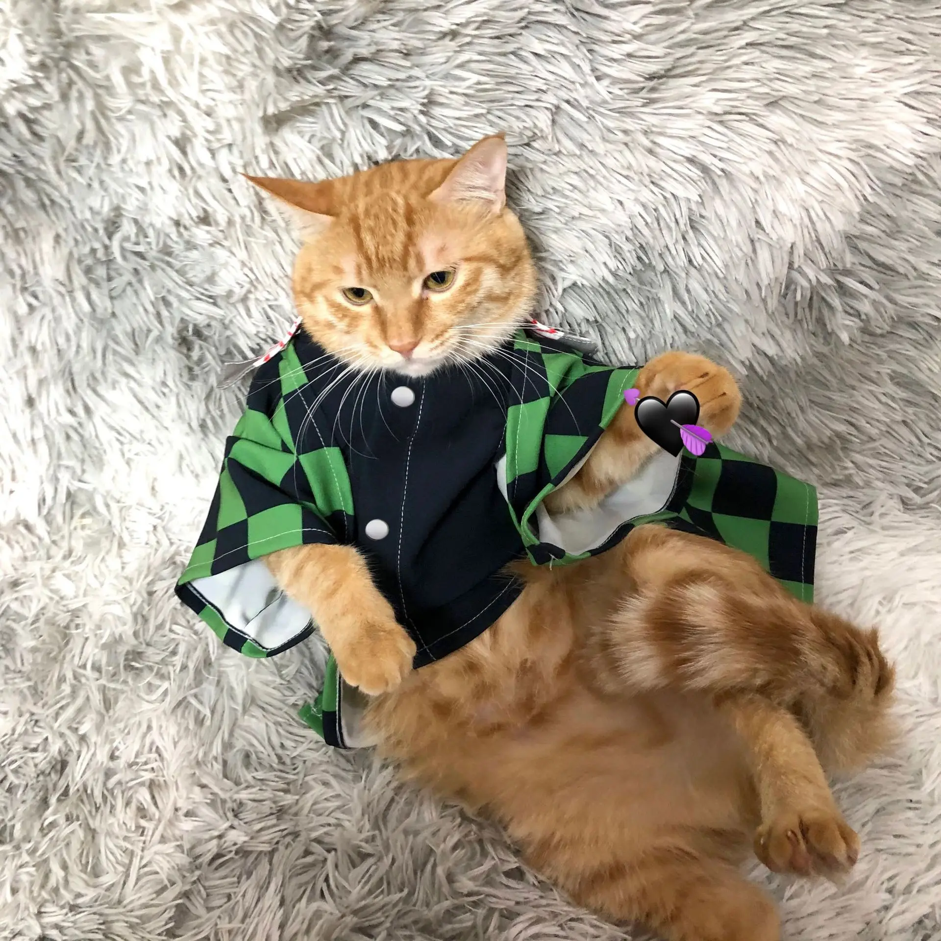 Generic Demon Slayer Pets Clothes Anime Cosplay Costume for Cat Dog Pet ...