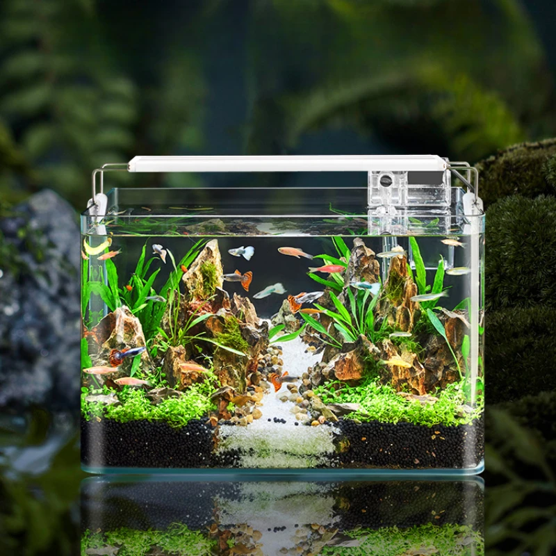 Fish Vivarium