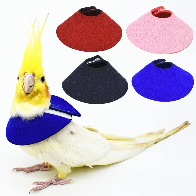 Parrot Neck Protective Collar Bird Neck Sleeve Elizabethan Circle Bird ...