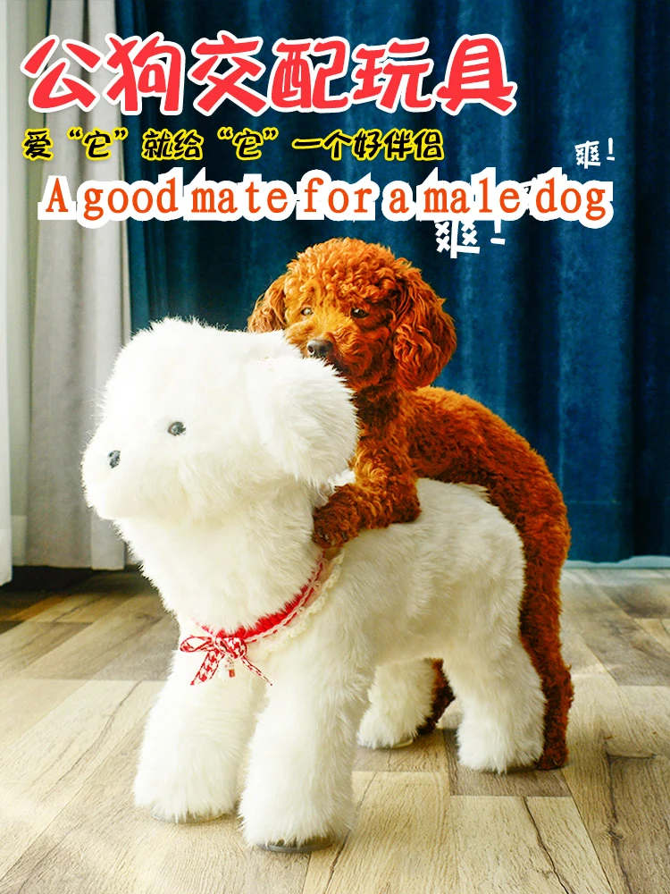 Male Dogs Mating Other Male Dogs
