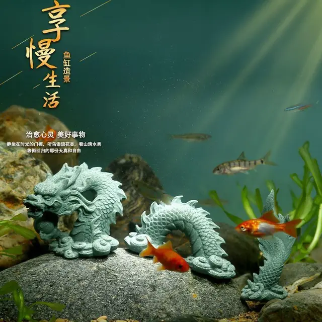 Dragon Fish Aquarium