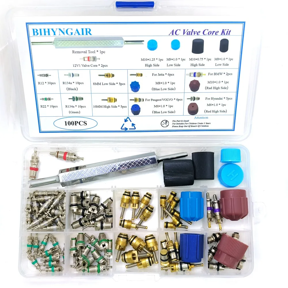100Pcs-Car-Air-Conditioner-Valve-Core-Assortment-Kit-Automotive-A-C-R12 ...