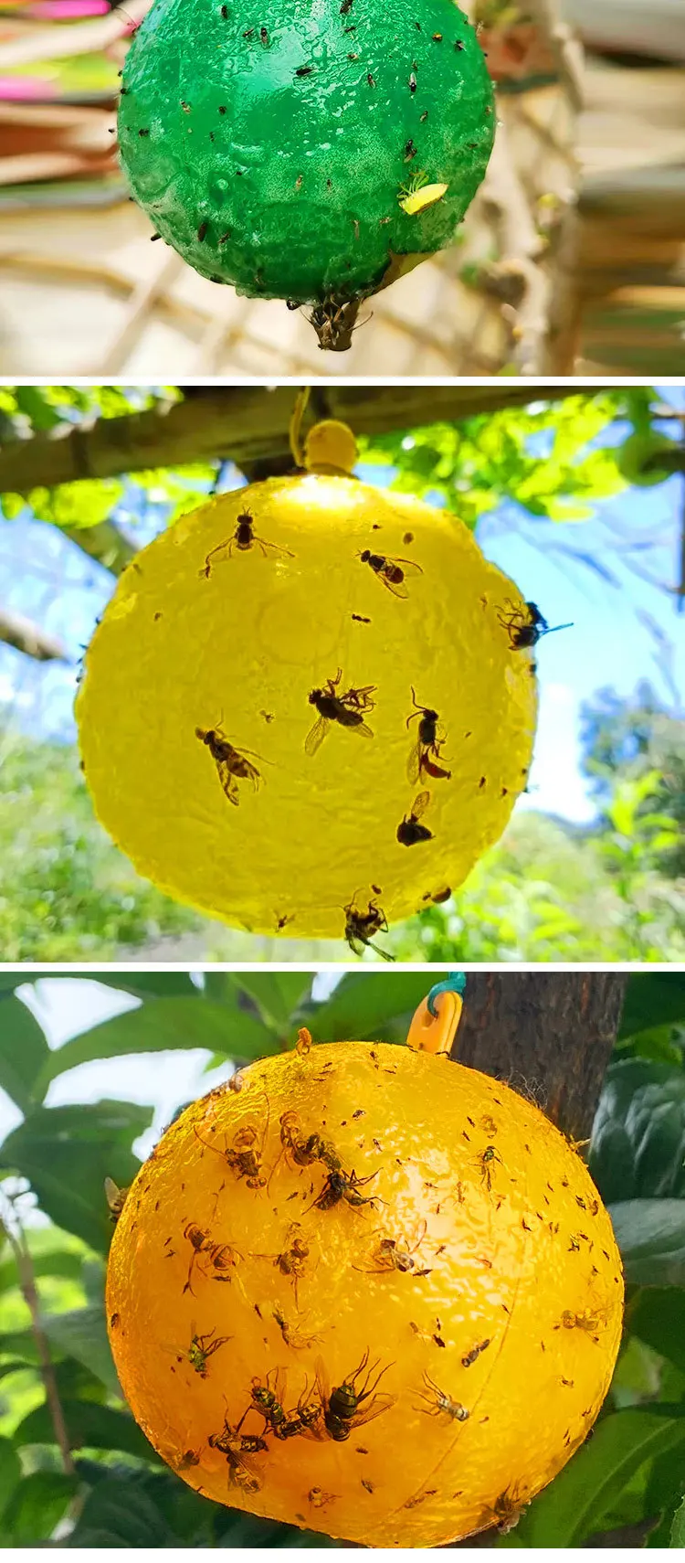 Piège nuisible,Pièges à mouches et guêpes à boule suspendus, collants ...
