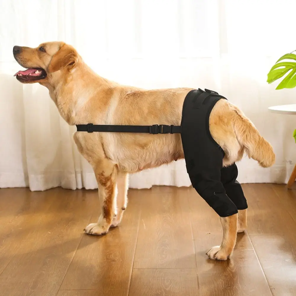 Knee Hip Joint Protect Pet Knee Pad Joint Injury Recovery 4Size Legs ...