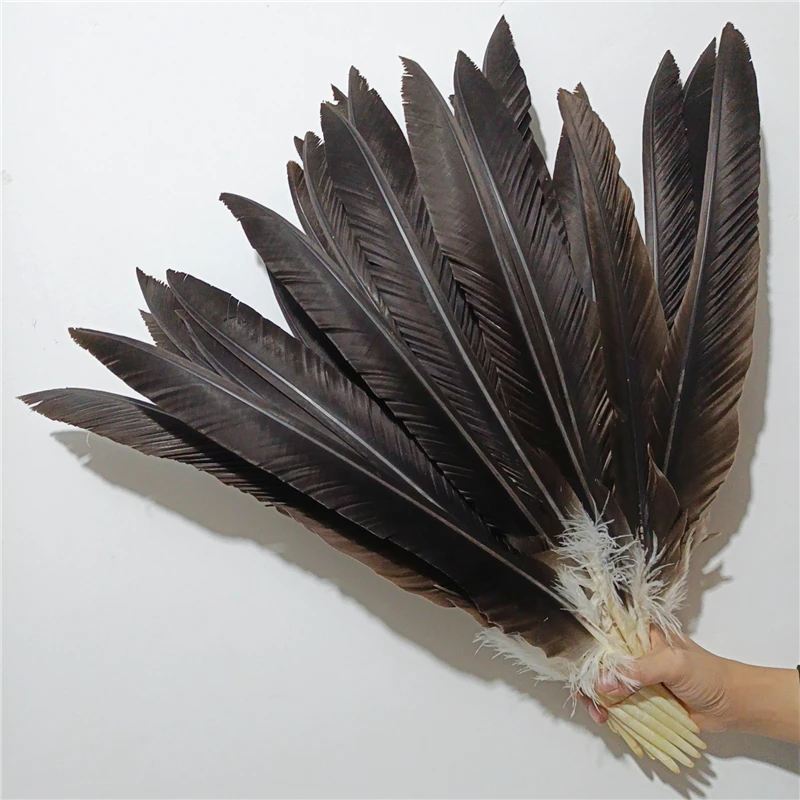 Indian Eagle Feather Meaning