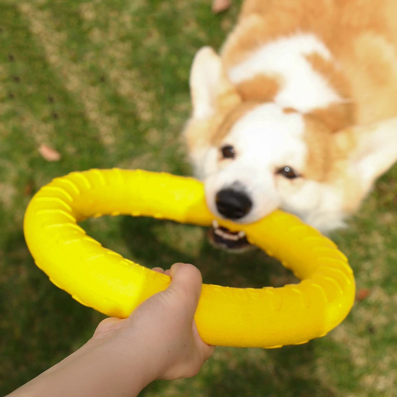 Dog-Toys-Pet-Flying-Discs-EVA-Dog-Training-Ring-Puller-Resistant-Toys ...