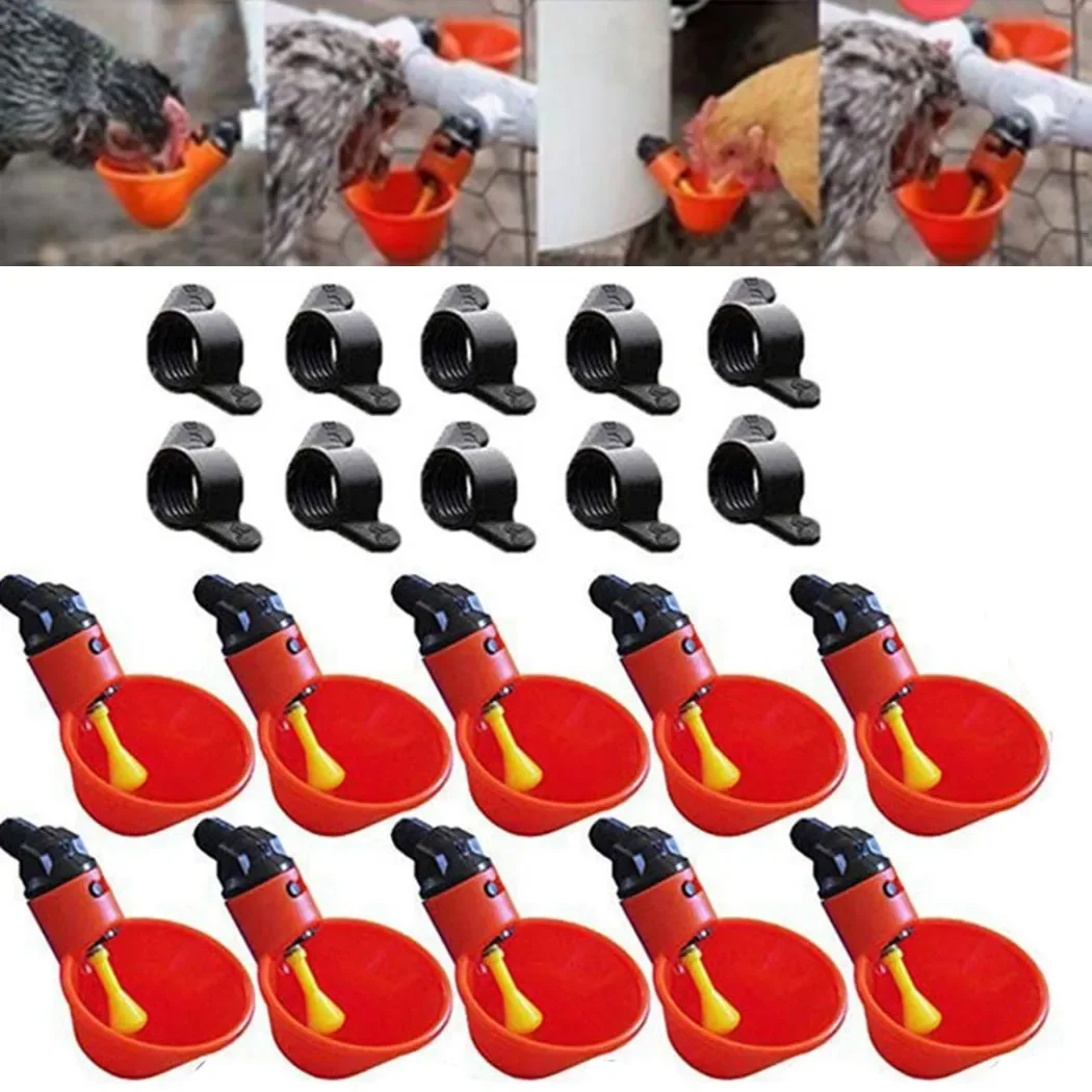 S28ee8b5c94fe45f5bb673fdc5ba2cdecg.jpeg