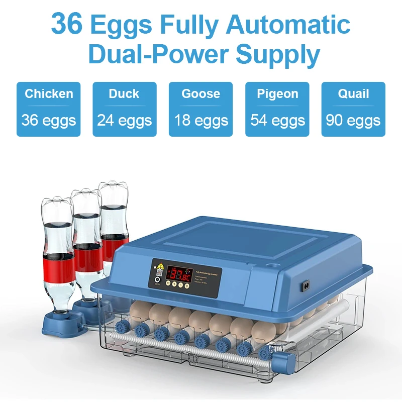 Chicken Incubation Accessories Incubator | Incubator Eggs Automatic ...