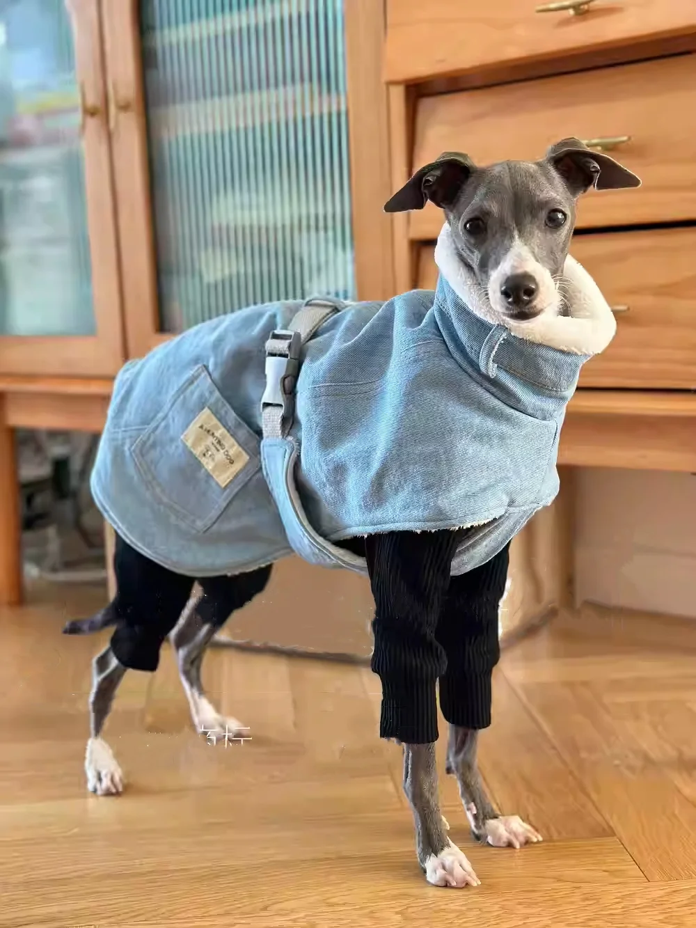 Blue Fleece Cape Denim Jacket for Italy Greyhound Winter Thick ...