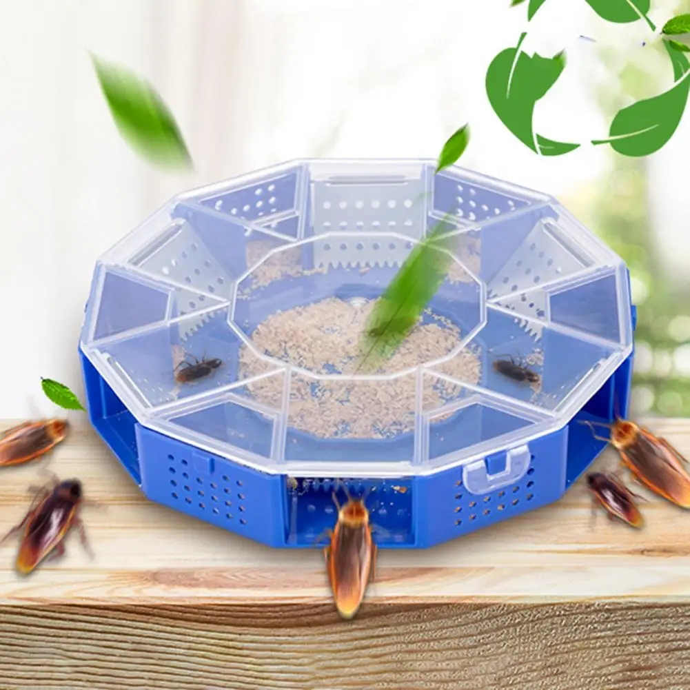 Cockroach-Catcher-Box-6-Entrance-Single-Layer-PP-Plastic-Cockroach-Trap ...