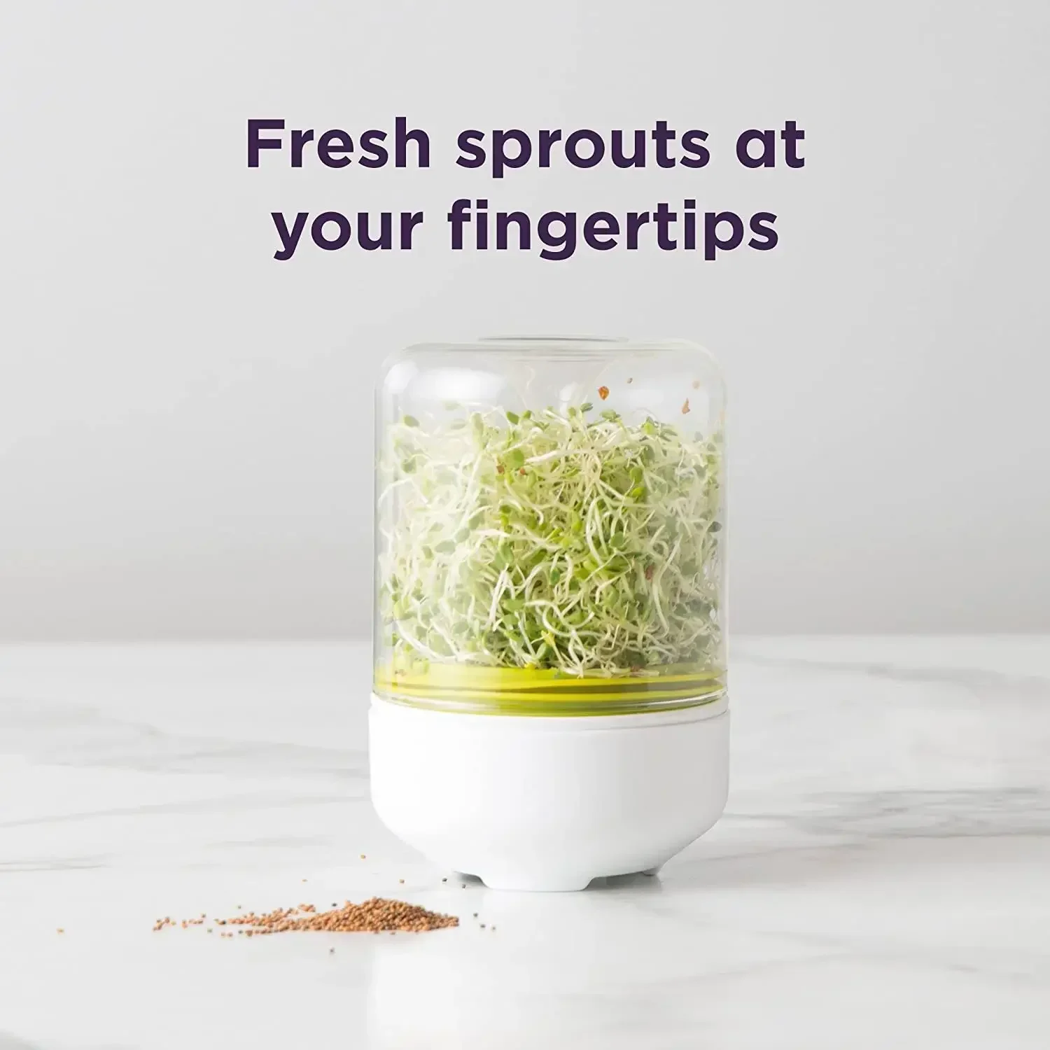 Countertop-Sprouter-Sprouts-Growing-Kit-Reusable-Household-Kitchen-Bean ...