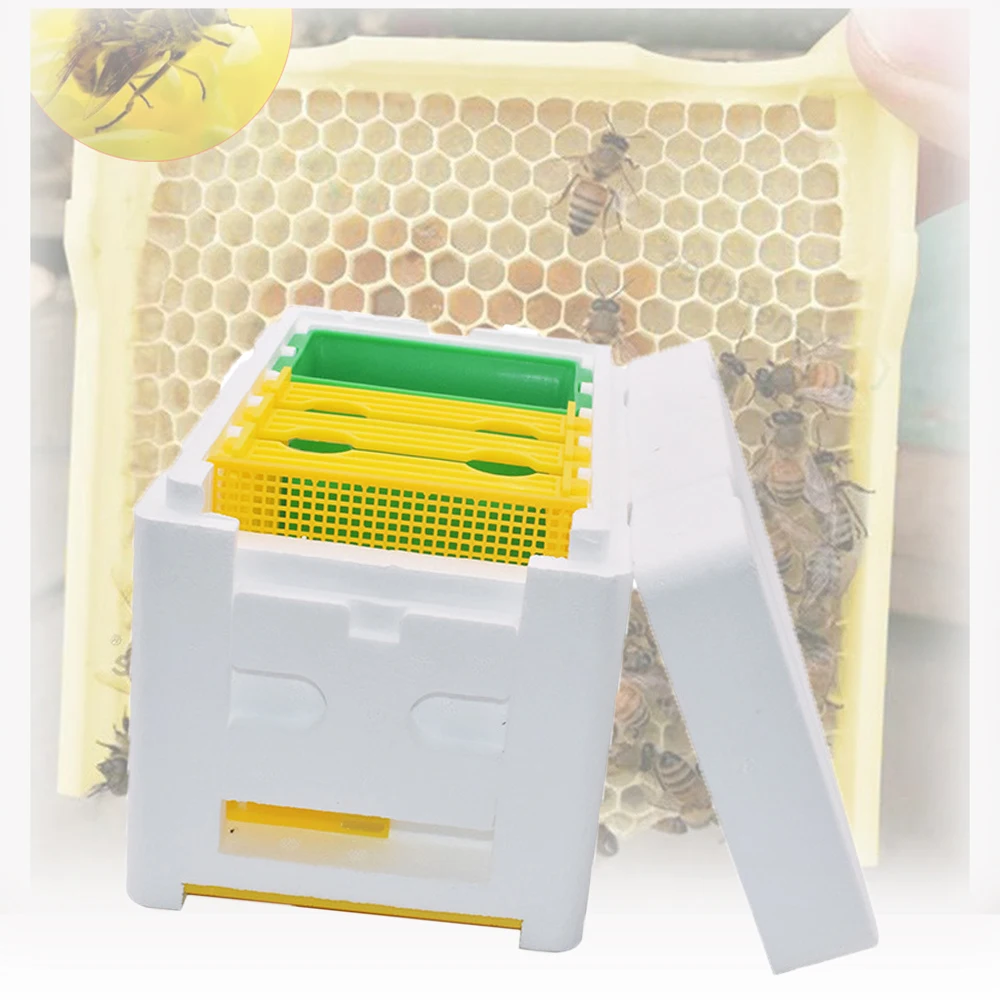 Queen-Bee-Mating-Box-Nuc-Mini-Nucleus-Hive-Colmeia-Reprodu-o-Reprodu-o ...