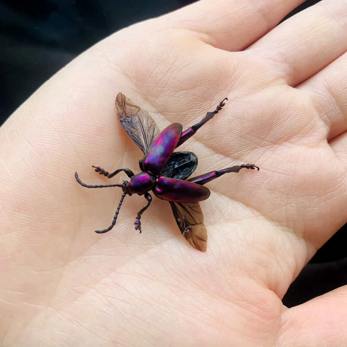 Real Insect โรงเรียนการศึกษาการสอน Aids งานศิลปะวัสดุตกแต่ง สีม่วง Stem ...